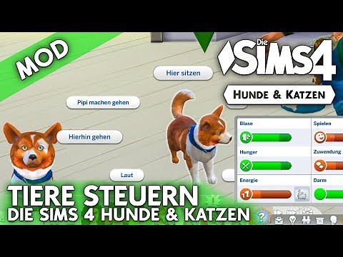 The Sims 4 Dogs & Cats | Control animals yourself and see their needs (Mod)