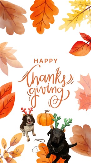 This Thanksgiving, we're sharing what our team is thankful for. MaKara from our Waseca County Auto Sales tech crew says she's grateful for her dogs, Shadow and Diesel! Wishing you and your loved ones a happy and safe weekend from our family to yours! #Thankful #WasecaCountyAutoSales | Waseca County Auto Sales