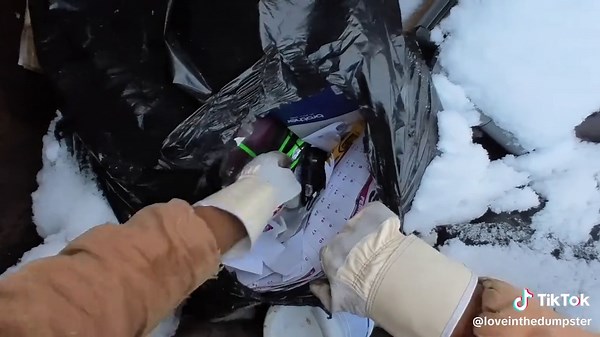 Ultimate Guide to Dumpster Diving Techniques