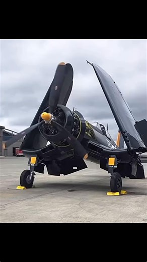 F-4U Corsair opening her wings Flying Heritage and Combat War Museum Seattle Paine Field: 3407 109th Street SW Everett, WA 98204 🎥: flyingheritage | BBM BBF