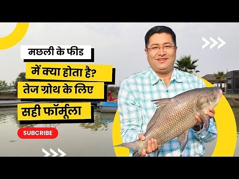 Fish Feed Ingredients Explained | Best Feed for Fish Farming