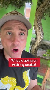 1.3M views · 7.8K reactions | Python Climbs Wall!!!  | Corbin Maxey | Facebook