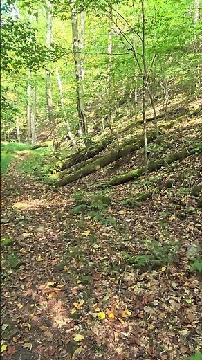 скоро новый парк и новое путешествие