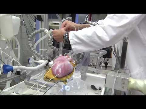 Visible Heart Laboratory