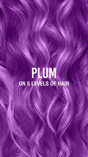 Punky Hair Colour | Plum hits different on every level 💜 5 levels of hair, one bold shade. Shop now on punky.com + @amazon #PunkyHairColour #PlumHair... | Instagram