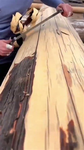 Traditional Woodworking Process Peeling Tree Bark Using Sharp Manual Drawknife
