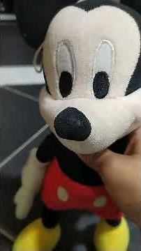 Mickey mouse intro song