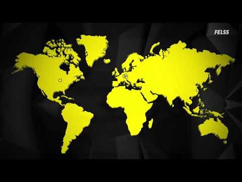 The Felss Group: About us