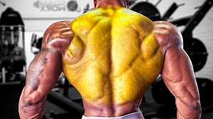 340K views · 5K reactions | 8 Best Exercises To Build A Big Back #backworkout #backexercises #danthehinh | Dan The Hinh | Facebook