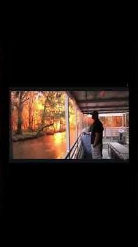 Fire Lightning- "When Nature Attacks: The Dangers of Lightning Explained!"