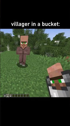 villager in a bucket #minecraft