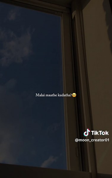 Explore Enchanting Tamil Night Vibes Songs