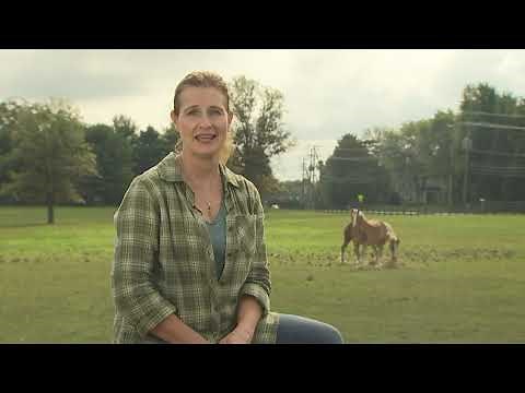 Frying Pan Farm Park Turns 60