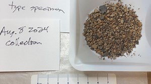 A meteorite strike was captured on video by a Canadian home's doorbell camera