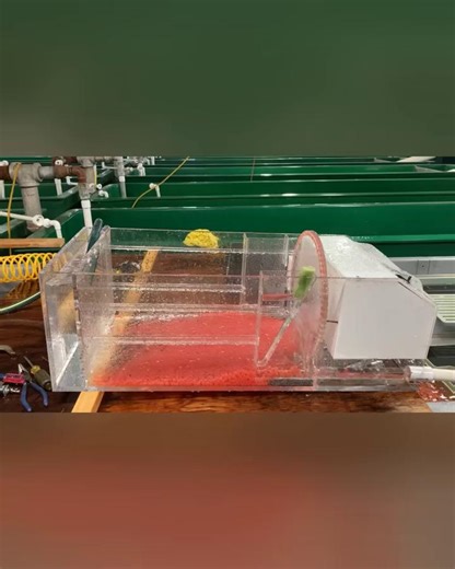 341K views · 2.2K reactions | Sometimes little fish eggs like to take...