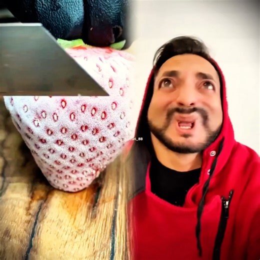 Mercuri_88 Official #funny #pov #foryou #pets - A new 11