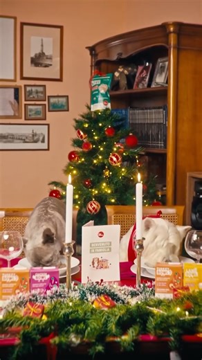 DOG HEROES on Instagram: "3, 2, 1... code scodinzolanti pronte per il 2026 💫 #dogheroes #dogheroesfamily #cibofrescopercani"