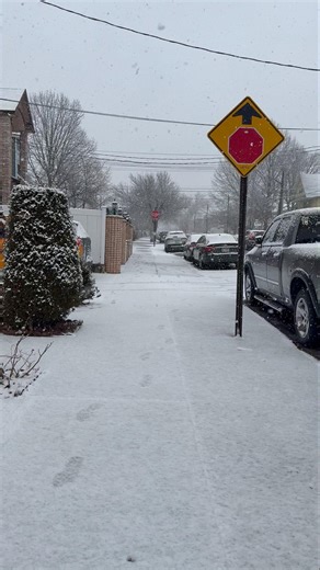 USA 🇺🇸 New York mey snowfall #shortsfeed #snow #trending #shorts #shortsviral