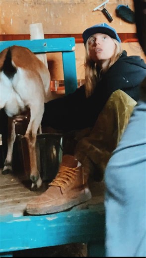 it’s not up for debate, processed food is poison ☠️ it’s proven as fact that additives, dyes, binders, texture & softening agents are not naturally occurring- our body does not know how to break them down & they cause our bodies to become inflamed & disease ridden because our bodies cannot process processed food. The difference between a PRESCRIPTION DRUG & A FOOD ADDITIVE? 💊💉❌ Intended use. That’s it. We are being spoon fed drugs in our cereal. We are given hormones in our hamburgers. The onl