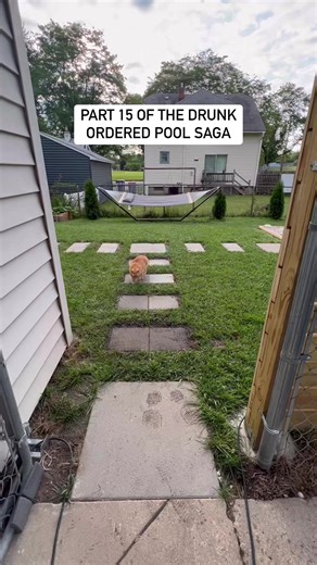 564K views · 3.1K reactions | So glad to have this project checked...