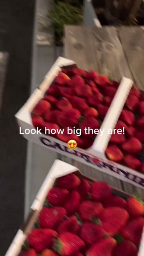 Delicious and Fresh Strawberries for Mother's Day Orders | Elias Produce