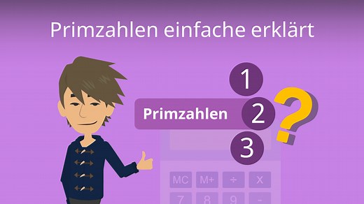 Primzahlen einfach erklärt • Was sind Primzahlen?