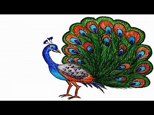 How to draw a Peacock.Step by step(easy draw)