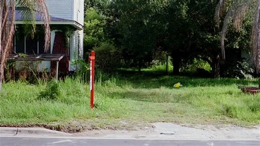 Bloodline Detectives S03E12