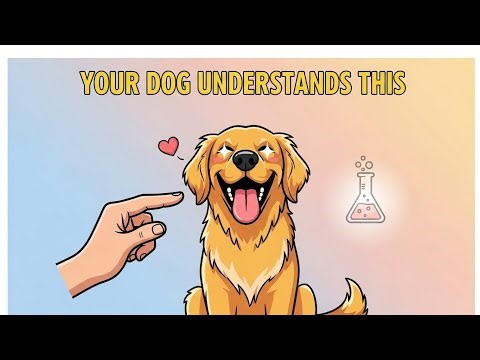 These 12 Science-Backed Actions Tell Your Dog You Love Them