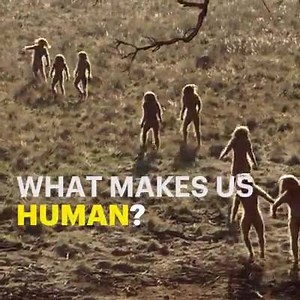 4.1M views · 525 reactions | Travel back in time 25 million years and see our ancestors in First Man.  Available now. Only on CuriosityStream. | Curiosity Stream | Facebook