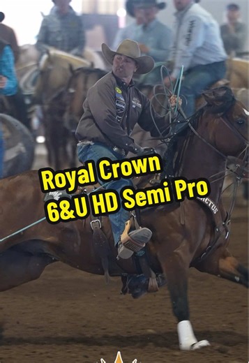 𝓡𝓸𝔂𝓪𝓵 𝓒𝓻𝓸𝔀𝓷 | 6 & Under Heading Semi Pro | Buckeye 2026 🌵 Average Winner 👑 ANDY HOLCOMB Horse: FROSTED QUINTON, ✨🐴 2021 ROYAL CROWN STALLION ✨🐴 Total Score: 589.68 Rider: ANDY HOLCOMB Sired by: FROSTED SUNMAN Out of: JW ALISA WOOD by WHITE LIGHTNING IKE Owned by: GLENN TEIXEIRA Bred by: JOSEPH JR & CATHY MURRAY Live Feed: xftr.net/rcb26 Free Videos: XFRundelivery.com (brought to you by: South Valley Equine) MVP | 𝘾𝙊𝙑𝙀𝙍𝙀𝘿 𝘽𝙔 𝘾𝙊𝙍𝙄 𝙀𝙌𝙐𝙄𝙉𝙀 𝙄𝙉𝙎𝙐𝙍𝘼𝙉𝘾𝙀 | Werner