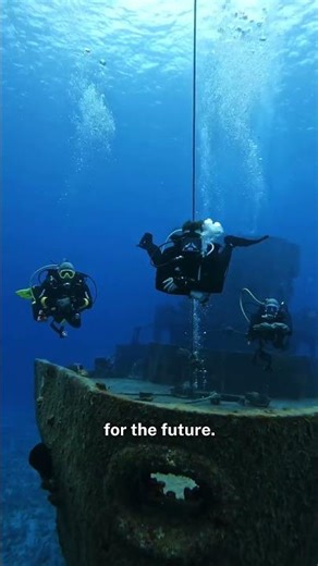 Scuba.com VIP Rewards Program is Here #scubadotcom #oceanexplorers #diving