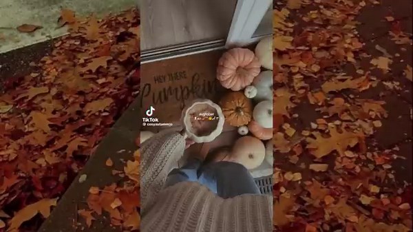 Fall TikTok compilation to get you in the fall mood🍁🍂🎃