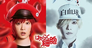 Live-Action Cells at Work! Film's Teaser Unveils Main Cast, December Debut
