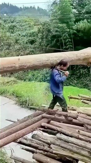 Carrying a huge log across a single-plank bridge to load onto a vehicle