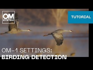 OM-1 & OM-1 Mark II Settings: Birding detection