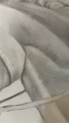 horse sketch with graphite pencil