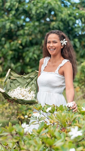 ADOPT PARFUM RELANCE LA CULTURE DU TIARÉ Découvrez comment @adoptparfums, connu pour ses 150 parfums exclusifs et accessibles à tous, s’engage à Tahiti ! — #adoptparfums #tahiti #tiaré | Gala