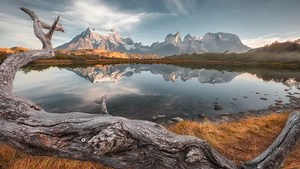 Can Full Frame Keep Pace With Medium Format?