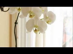 Protect Anything With Lorex Surveillance Systems