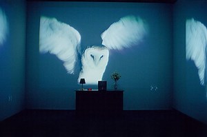 Bill Viola, une vie en vidéos - Au Grand Palais