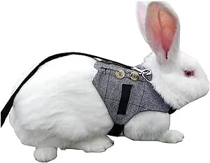 Rabbit Vest Harness and Leash Set Adjustable Formal Suit Style for Bunny Kitten Small Animal Walking (M)
