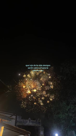 Videos de secret account (@myfellingsss444_) con “ghostin ariana grande - ༺♡༻”