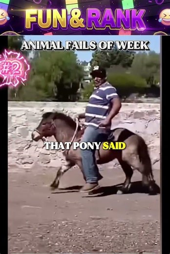 Epic Animal Fails! (Try Not To Laugh) 🤣