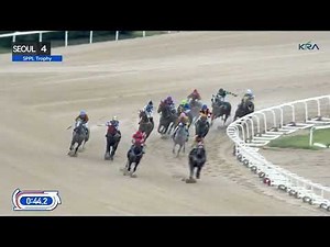 (Seoul) 2025.09.06 R4 Class Open (1200M) Special Weight A / SPPL Trophy (Singapore)
