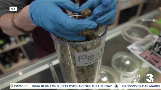 Retail marijuana market legalization and minimum wages discussed at Va. General Assembly