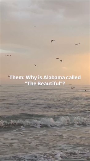Have a little pride in how beautiful your state is. Be proud of the natural wonders around you. Also wear bug spray, sunscreen, and leave no trace cause we need it all. #alabama #alabamathebeautiful #visitalabama #usa #travel #travelusa | Huntsville Adventurer