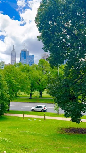 Spring walk through the heart of Melbourne — where every street blooms with life and color 🌸✨ . #melbourne #australia #melbournecity #melbourneaustralia #visitmelbourne #travelmelbourne #CityofMelbourne #whatsonmelbourne #MelbourneAustralia #VisitMelbourne #DiscoverMelbourne #whatsonmelbourne | Melbourne Pulse