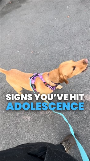 61K views · 1.5K reactions | I often get asked ‘how do you know when...