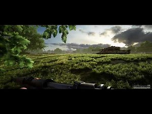 Tiger bouncing shells